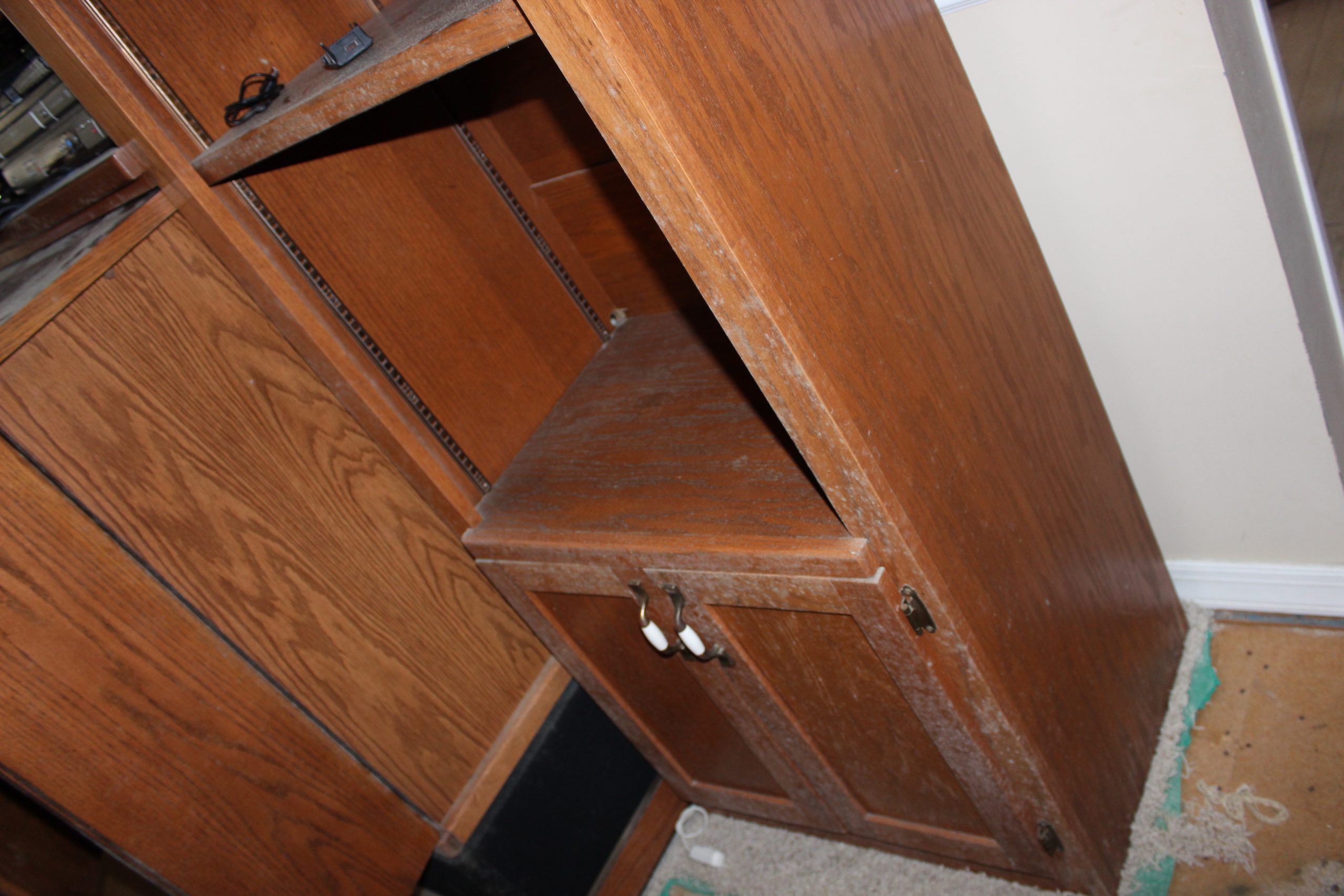 Mold Damage Insurance Claims | United Claims Specialists Mold Damage Insurance Claims | United Claims Specialists